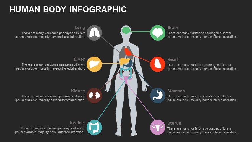 Make Use of This Useful Human Body PowerPoint Template