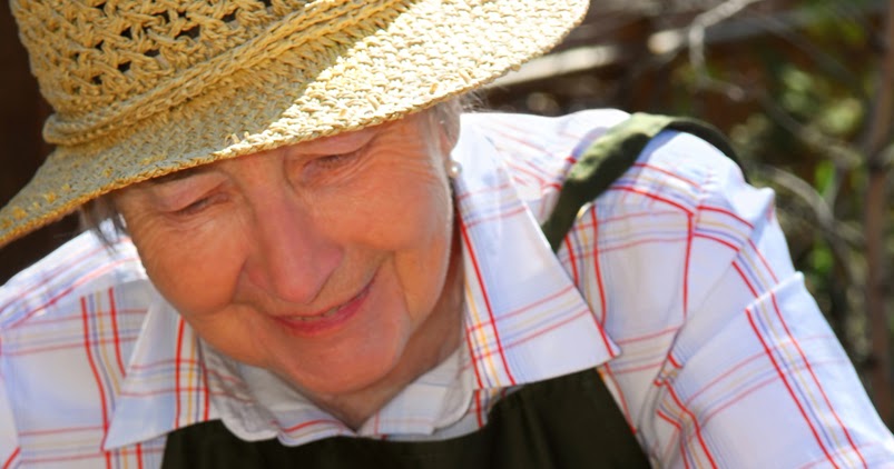 HomeAid Health Care - Elder Topics: Hierarchy of Needs for Today's Elderly