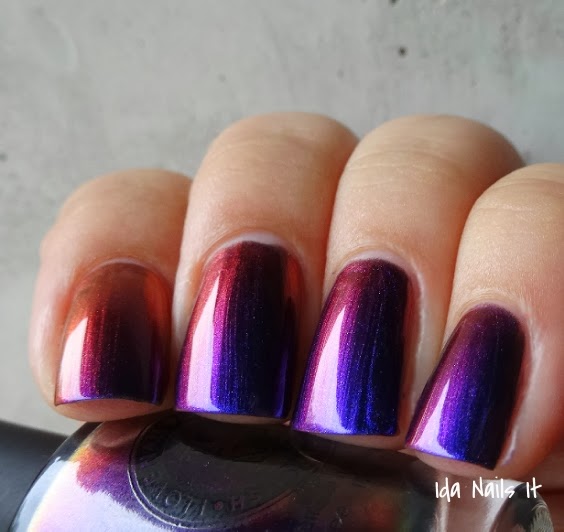 Ida Nails It: ILNP Birefringence and Cygnus Loop
