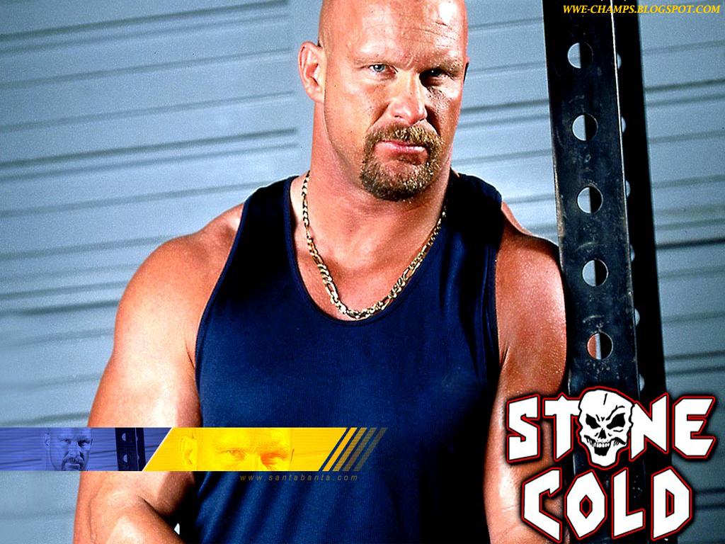 WWE CHAMPS: STONE COLD STEVE AUSTIN 'WHAT?'