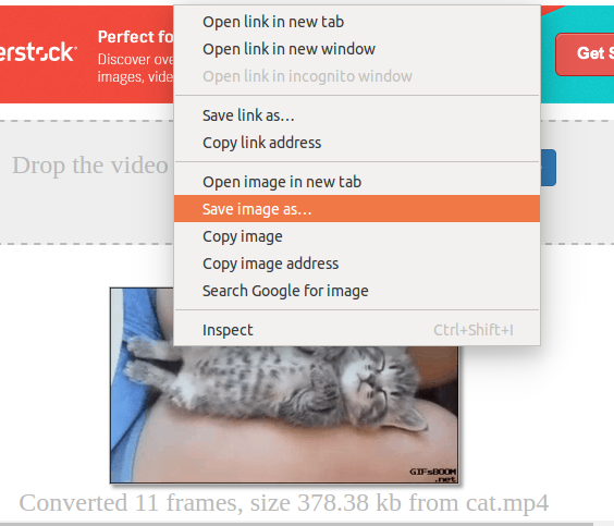 dominoc925: Batch sample or convert videos to animated GIF files WebApp