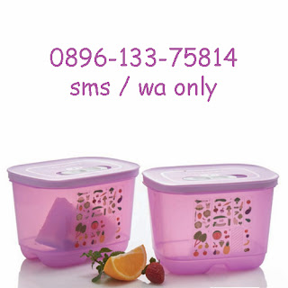 Tupperware Ungu