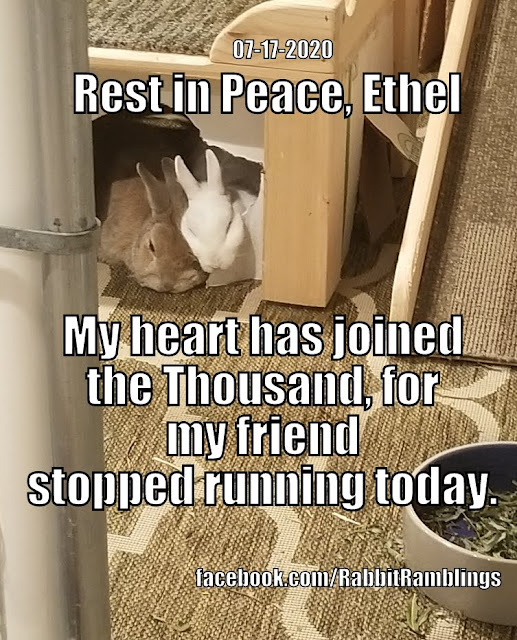 Rabbit Ramblings: Rainbow Bridge * Rabbit Rescue Poem * Easter Bunny ...