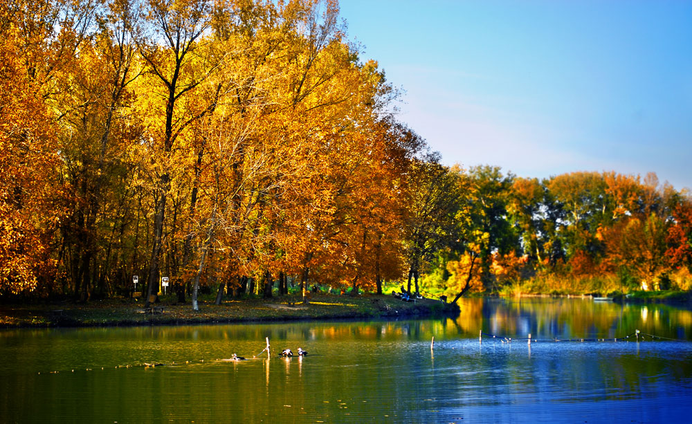 Lakes of Serbia: Ada Safari lake