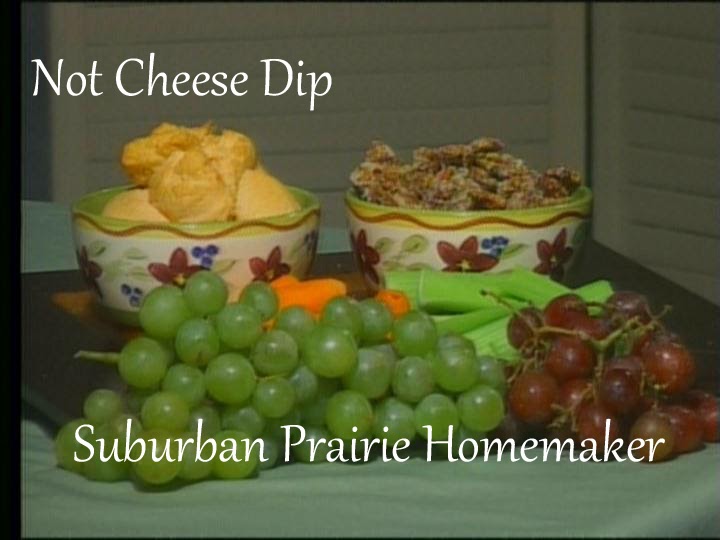 Suburban Prairie Homemaker: Gluten Free Dairy Free Not Cheese Spread Recipe
