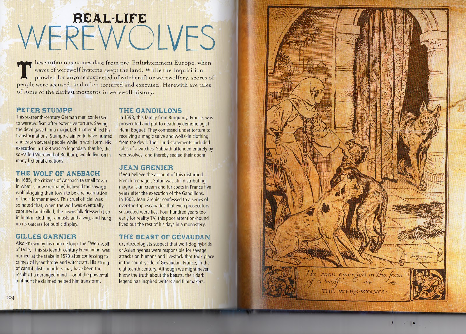 Dreadful Dreary: How to be a Vampire/How to be a Werewolf Part 3: Real ...