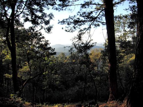 Birding North Unst: 25th February 2017 Mount Lang Biang