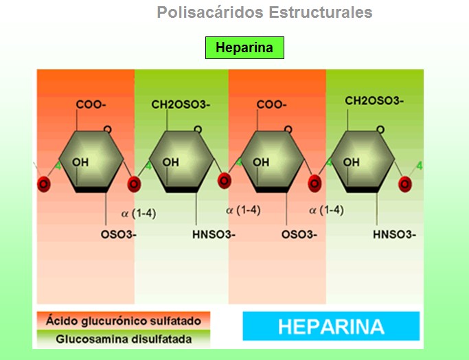 BIOQUIMICA - 2DO AÑO OFICIAL. : CARBOHIDRATOS ==> SACARIDOS ==> GLUCIDOS