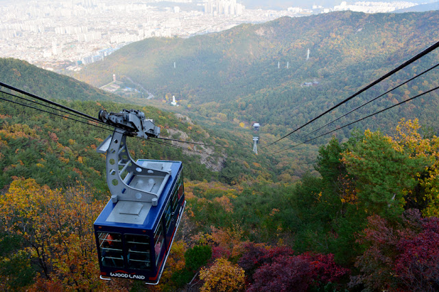 Best Hiking Routes Anybody Can Enjoy in Daegu, Korea!