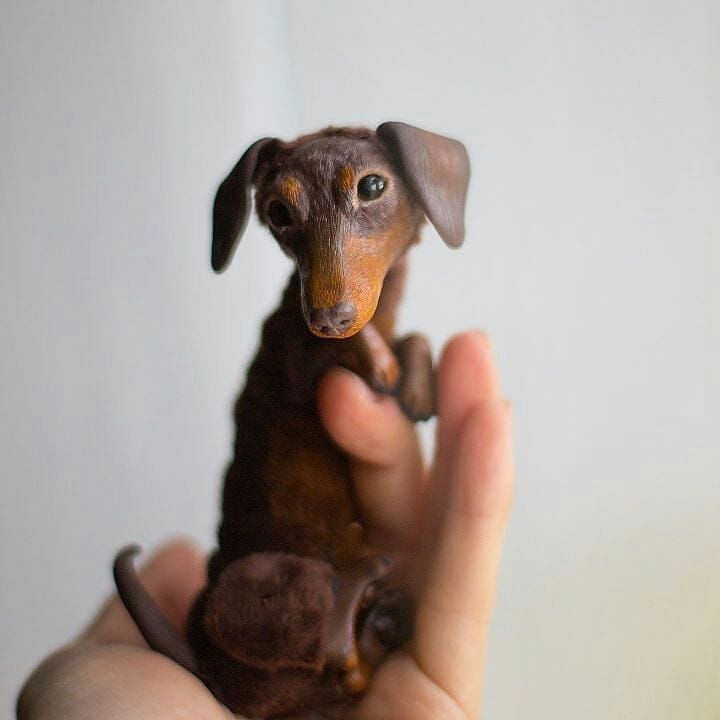 Encantador puppy de color chocolate - Jadewoman