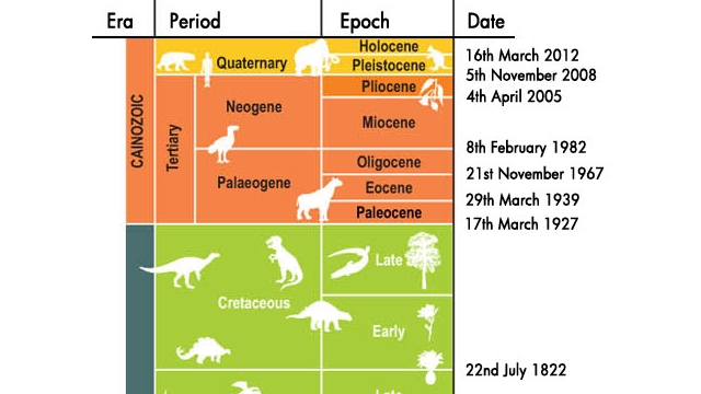 Your somebody's reason to smile. : Geologic Time Scale & Fossils.