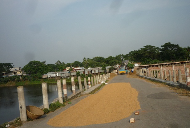 Homna - Comilla: Muradnagar Upazila Comilla | Image Collection1