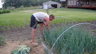 Barefoot Finds and Designs: What is Barefoot Farm????