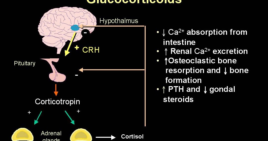 Glucocorticoids