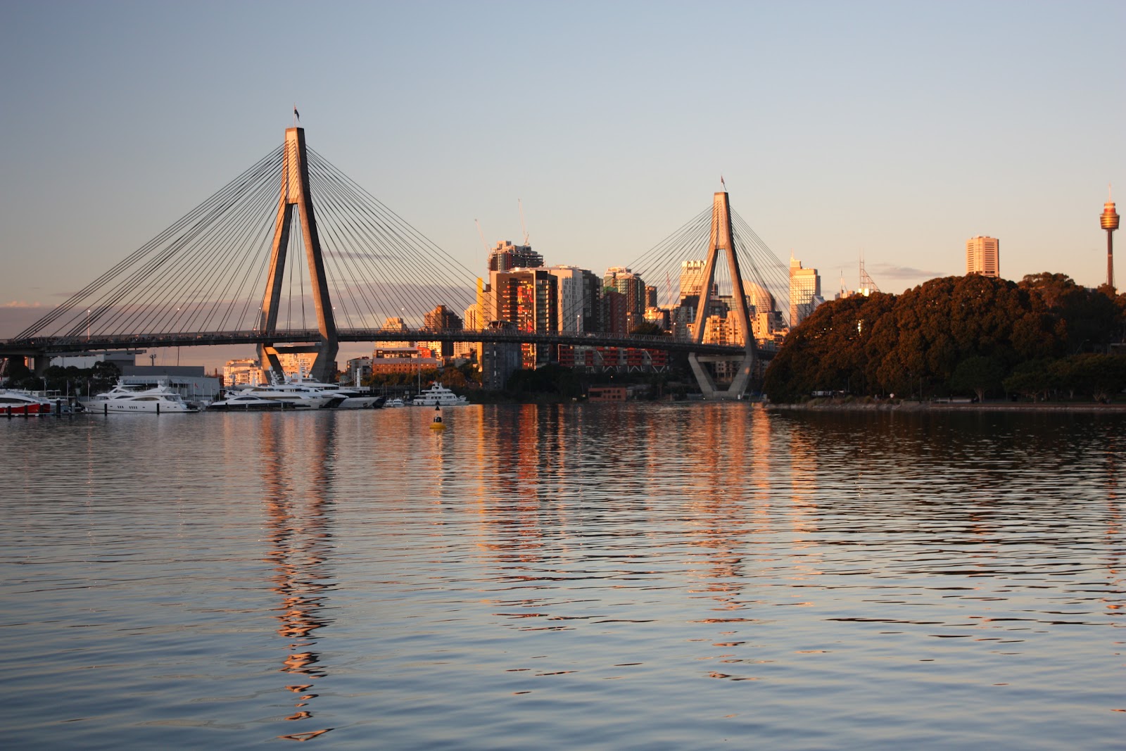 Sydney - City and Suburbs: Blackwattle Bay, Anzac Bridge
