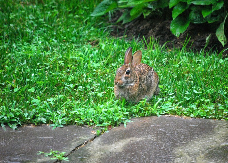 Moments With Mother Culture®: Little Hands, Little Books, But Not Just ...
