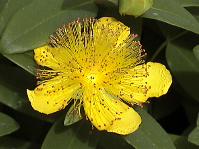 A Bit of Yellow: Yellow Stuff