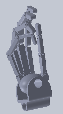 The 27 DOF Anthropomorphic Hand model