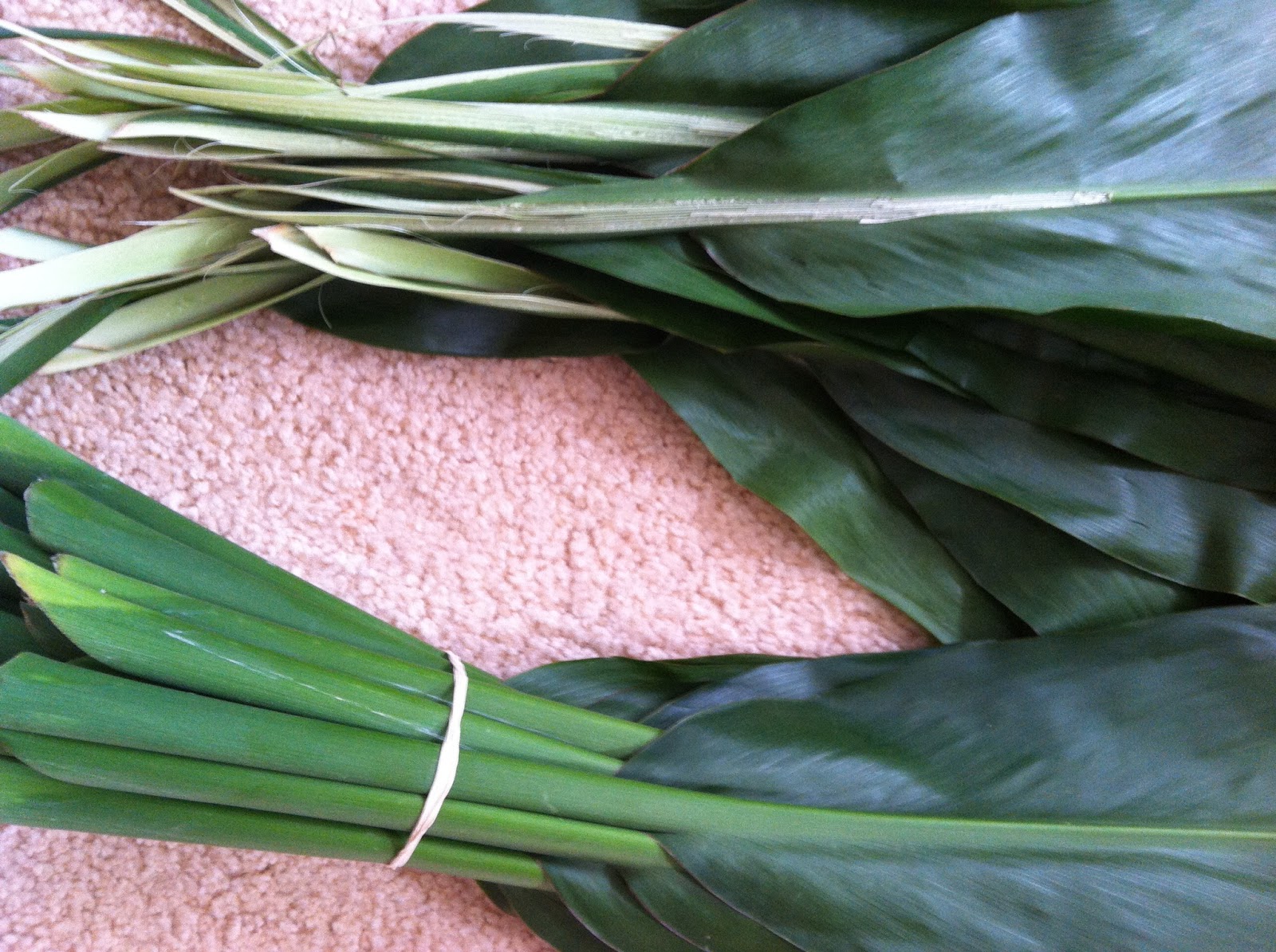 Woman of Polynesia: How To Make a Ti-Leaf Skirt