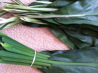 Woman of Polynesia: How To Make a Ti-Leaf Skirt