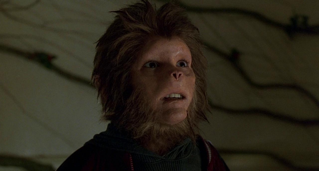 Esan Ruth's Blog (Tons of Adventures): Jumanji vs. Zathura