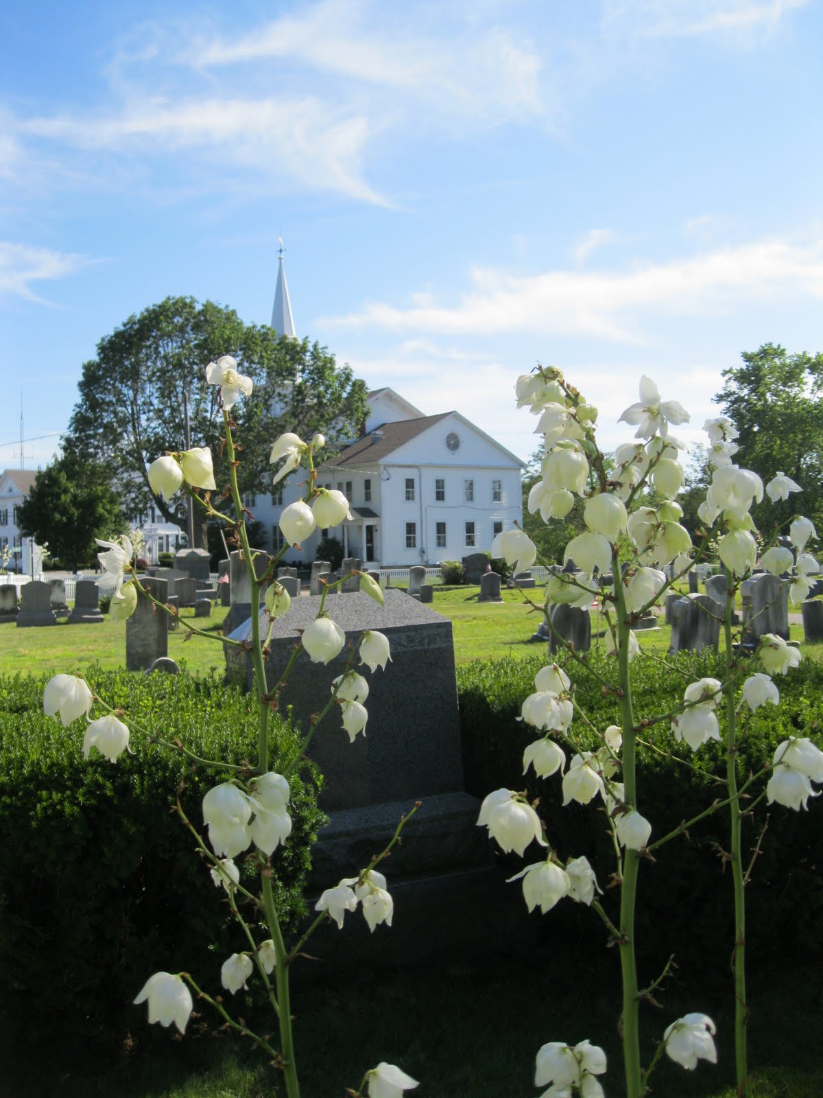 THE OLD COLONY GRAVEYARD RABBIT: HANOVER CENTER CEMETERY JULY 15TH 2011