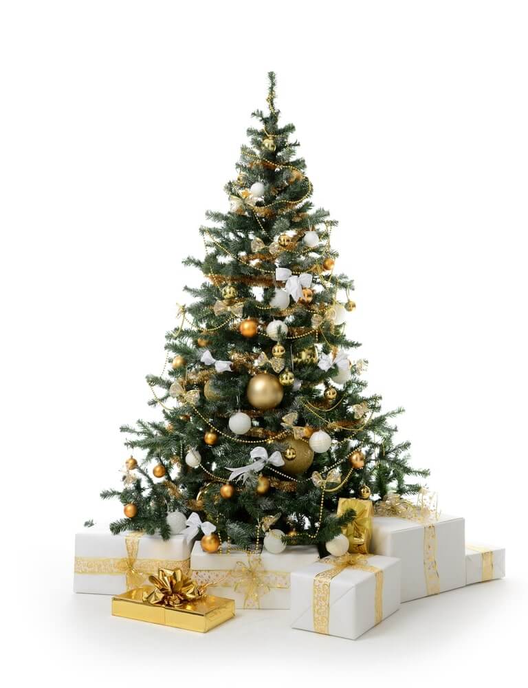 Christmas Tree Pics Free Download