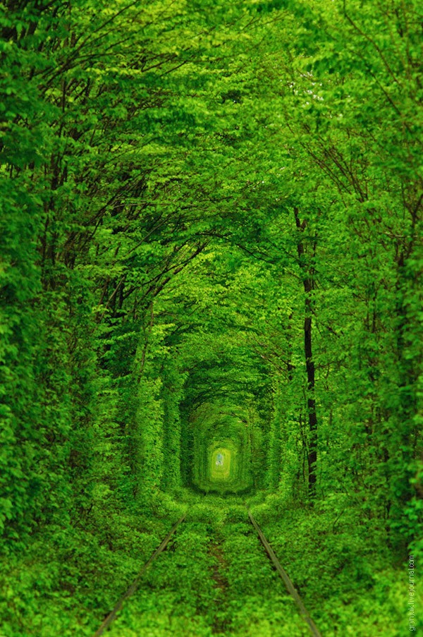 Tunnel of love, Klevan Ukraine