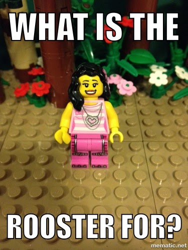 Winter Pays for Summer: Survivor: Cagayan - Brawn vs Brains vs Beauty ...