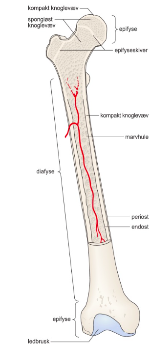 Modul 5 - Tværfagligt samarbejde: Hoftenære fakturer