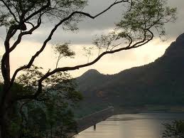 Incredible Kerala Tourism: Nelliyampathy-An amazing Hill Station in Kerala