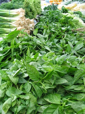 My Agriculture Blog: 10 Most Profitable Specialty Crops To Grow