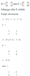 PEMBAGIAN MATRIKS (ARRAY DIVISION)