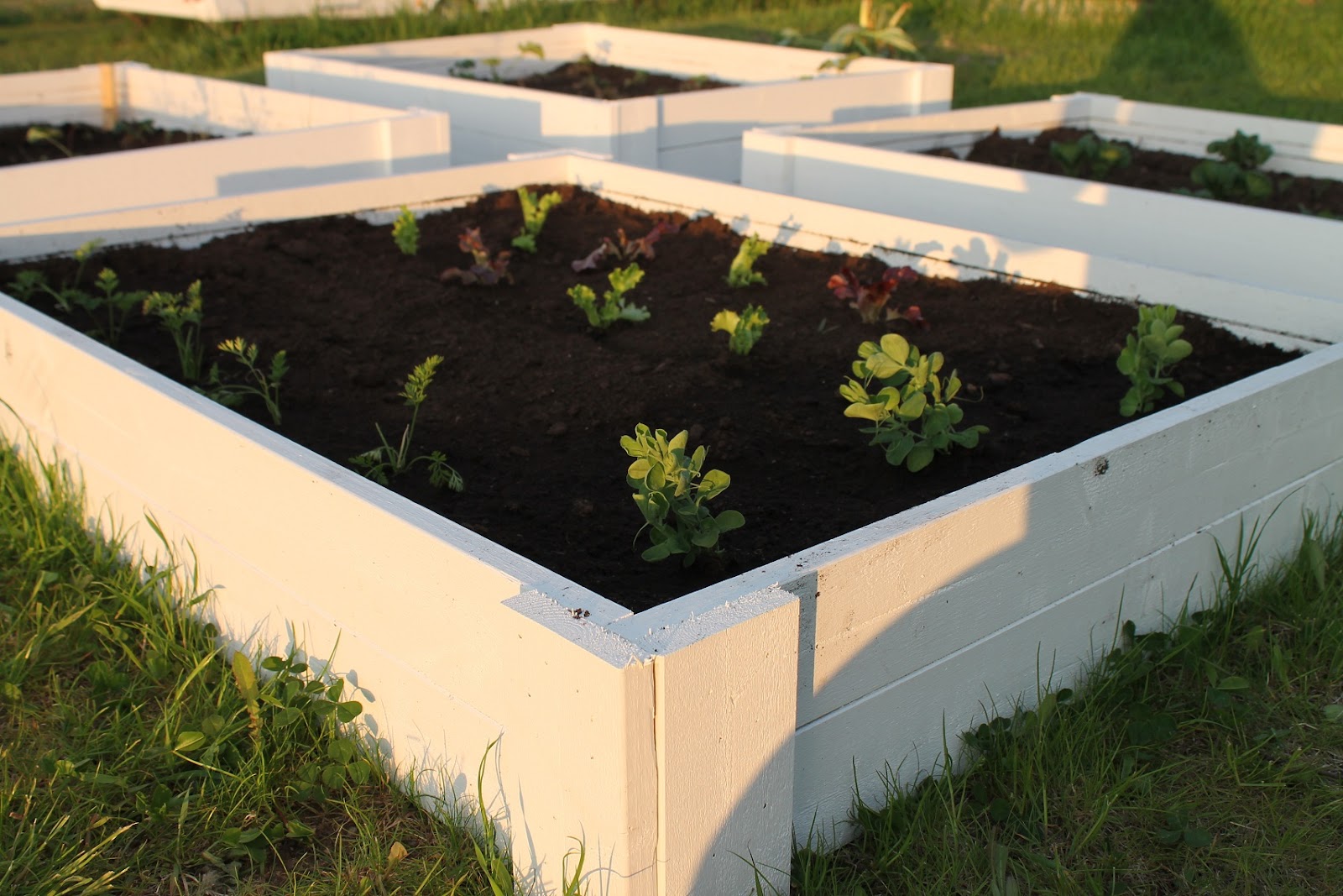 LivingModerna: Planteringar
