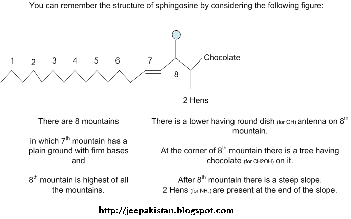 Sphingosomes and sphingolipids