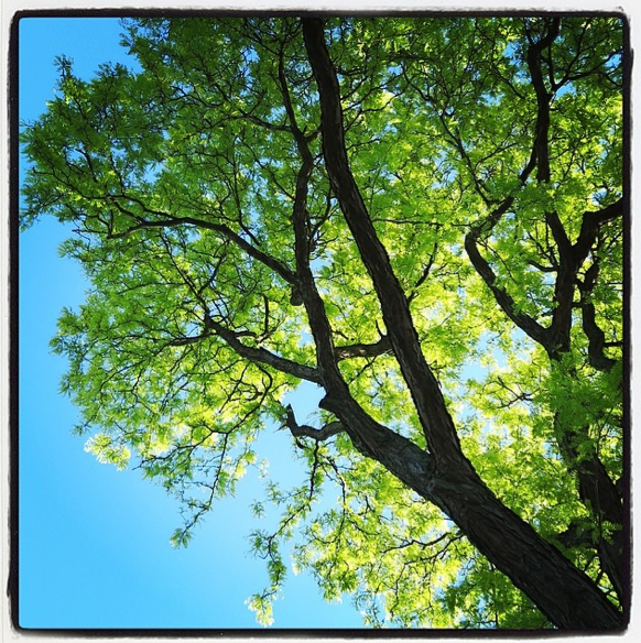 Win a Canon® PowerShot S200 Digital Camera From Staples! | Toronto ...