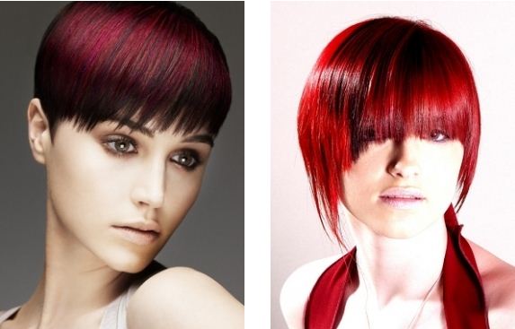 Dyes And Hair Color Trends For Winter 2012: Red And Purple - Celebrity ...