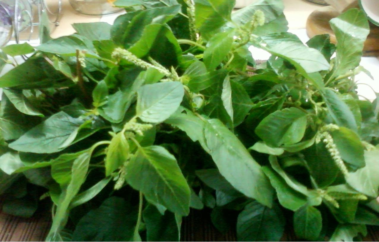 Partager avec plaisir - Recettes de cuisine faciles et idées de ...