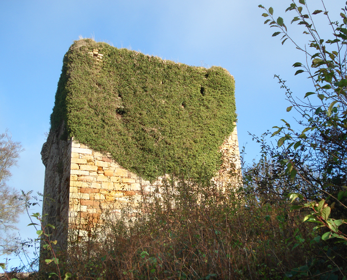 Around the Clyde: Fairlie Castle