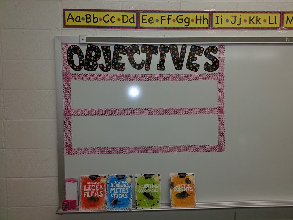 Teaching In The 4th Grade!: Colors And More Colors - Decorating