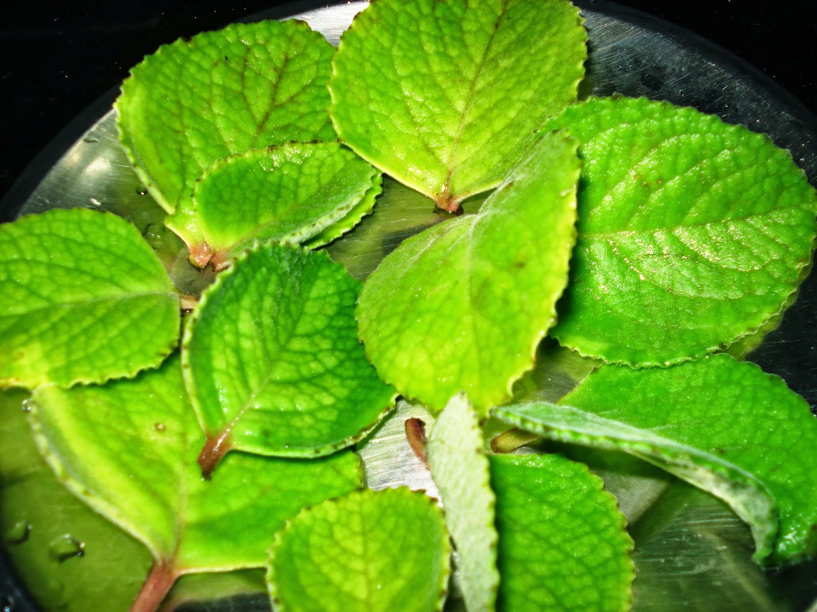 ಅಡಿಗೆ - Adige: Dodda Patre (Sambar Balli) Leaf Bajji.