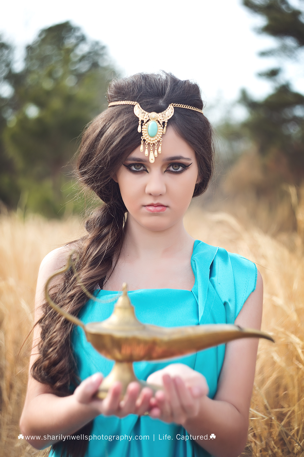 Sharilyn Wells Photography: Arabian Beauty | Creative | Sanford, N.C ...