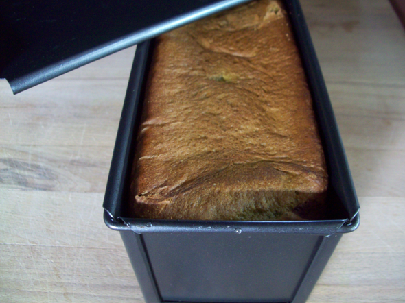 Pain Panda - Miam ! Des biscuits