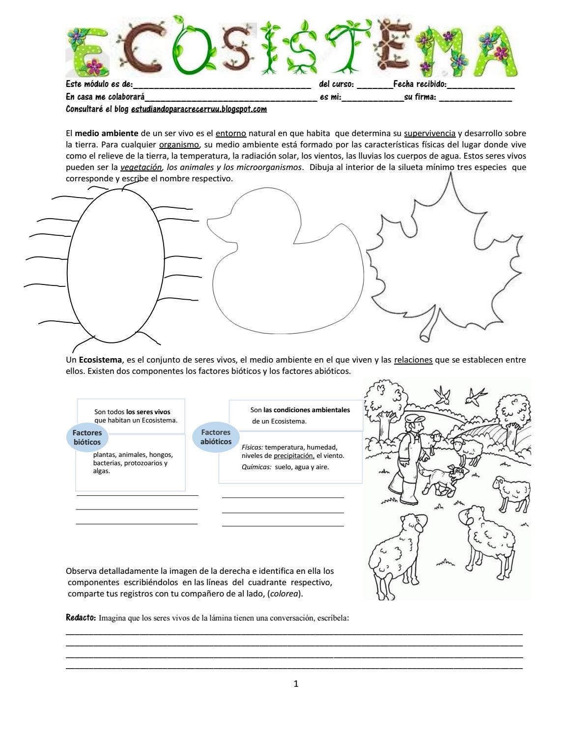 Hojas De Trabajo Sobre Ecosistemas, Quinto Grado