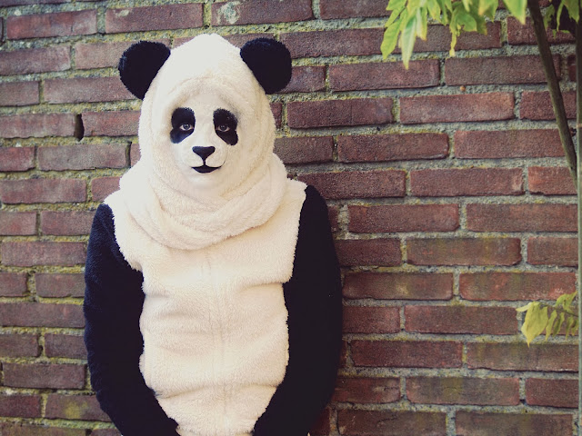 Make-up, Grime en fotografie: Panda beertje