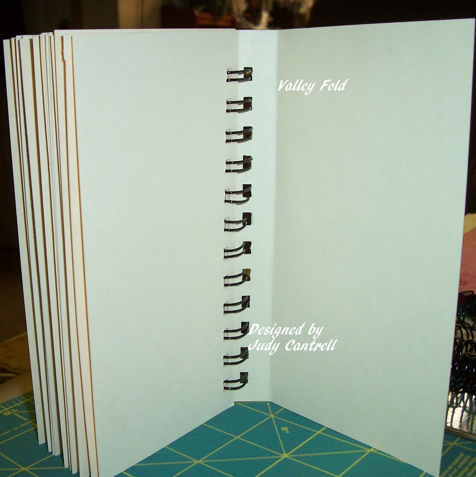 Crafting with OWSE: Technique Tuesday ~ Tag Booklet