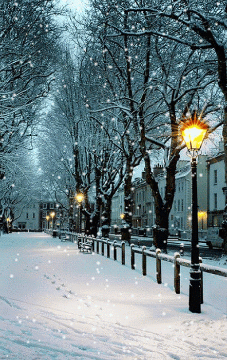 Gif_WINTER_Snowfall_(29 item) All together | Joy Design Studio