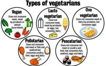 Vegetarian Diet Reviews