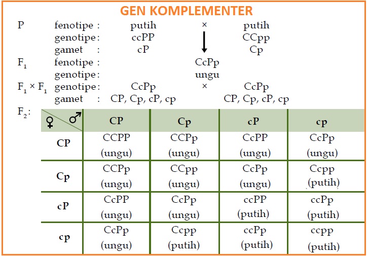CATATAN SEMU MENDEL - Biology Page