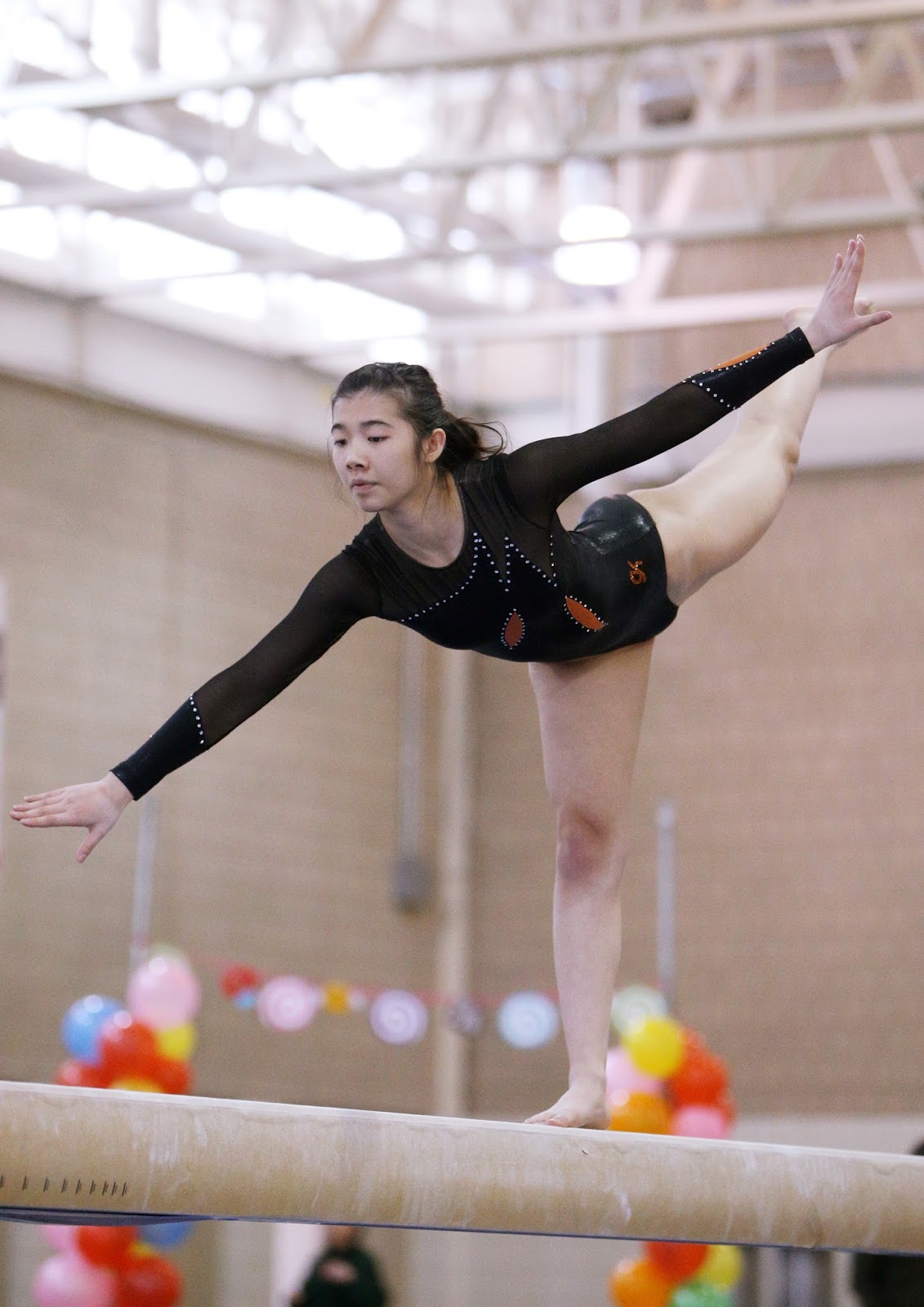 Mark Kodiak Ukena: IHSA Lake County Girls Gymnastics at Stevenson